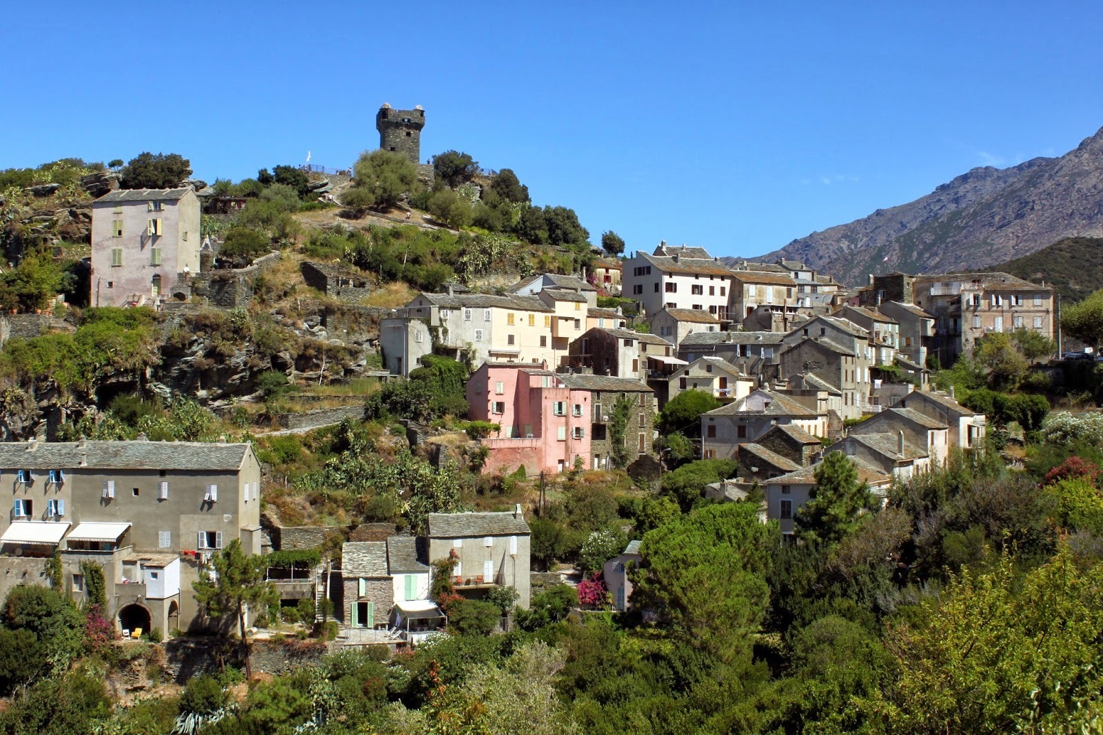 Udaberriko paisaiak: Kortsikatik Euskal Herriko iparraldera | IRRATIA