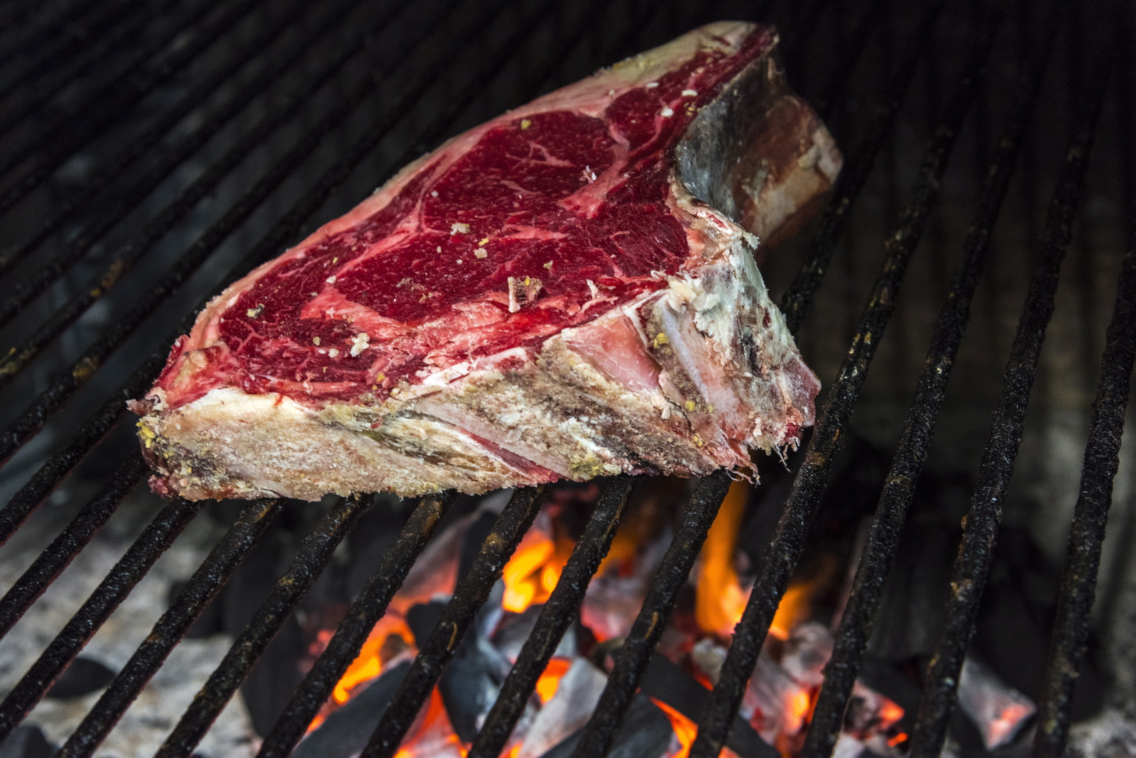 Proteinak: osasunerako eta errendimendu fisikorako gakoak | Kirolharia ...